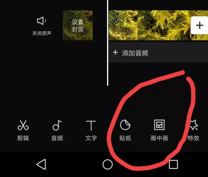 How to Change Your Favorite Video Background in the Clipping APP - iNEWS