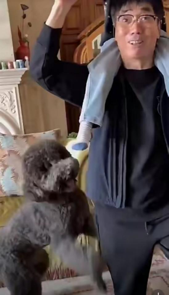 Fan Ming, the old drama bone, also brings his grandson at home!With a ...