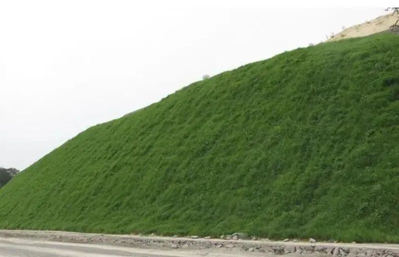 Slope greening design method and application of plants - iNEWS