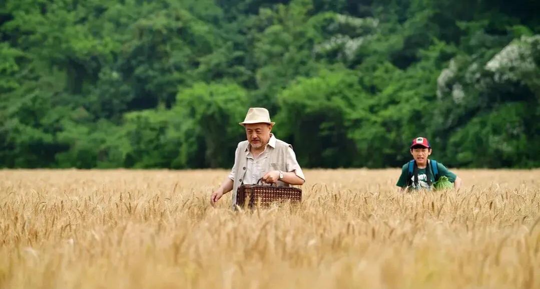 "The Stream Doesn't Extinguish" funny journey but harvested countless ...