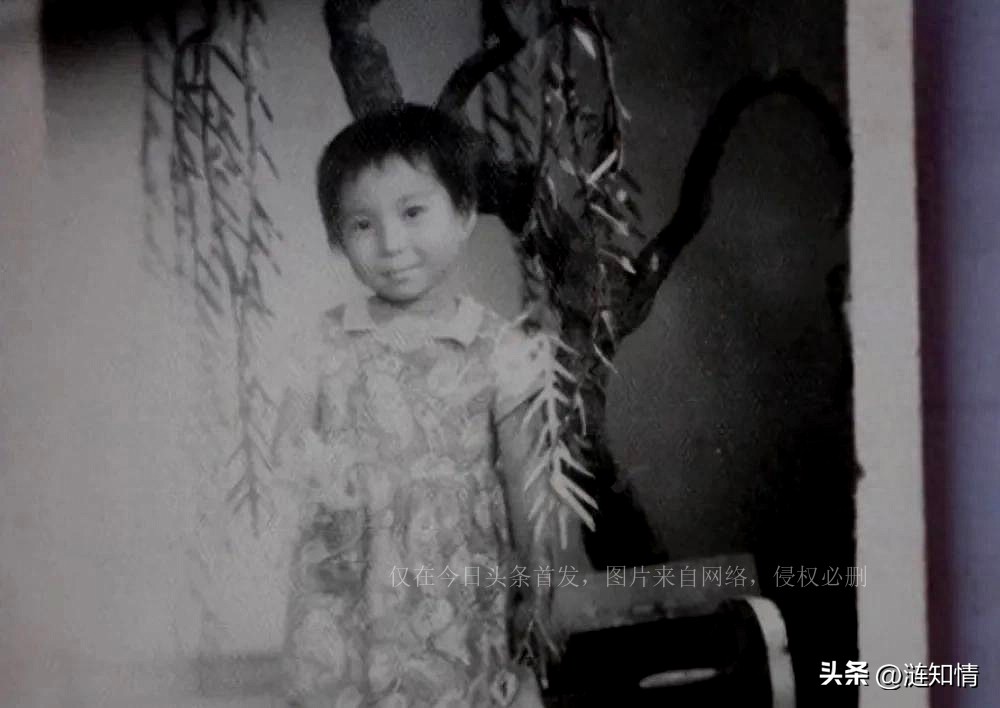 Six years after the divorce, looking back at Yadan and Wang Jinlong ...