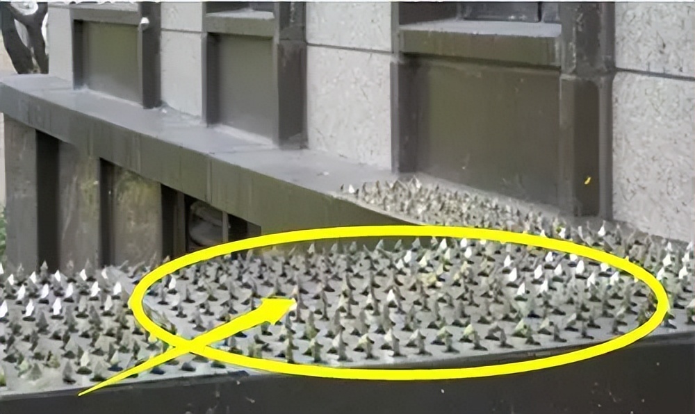 This is the first time I have seen such a powerful anti-theft net, and ...