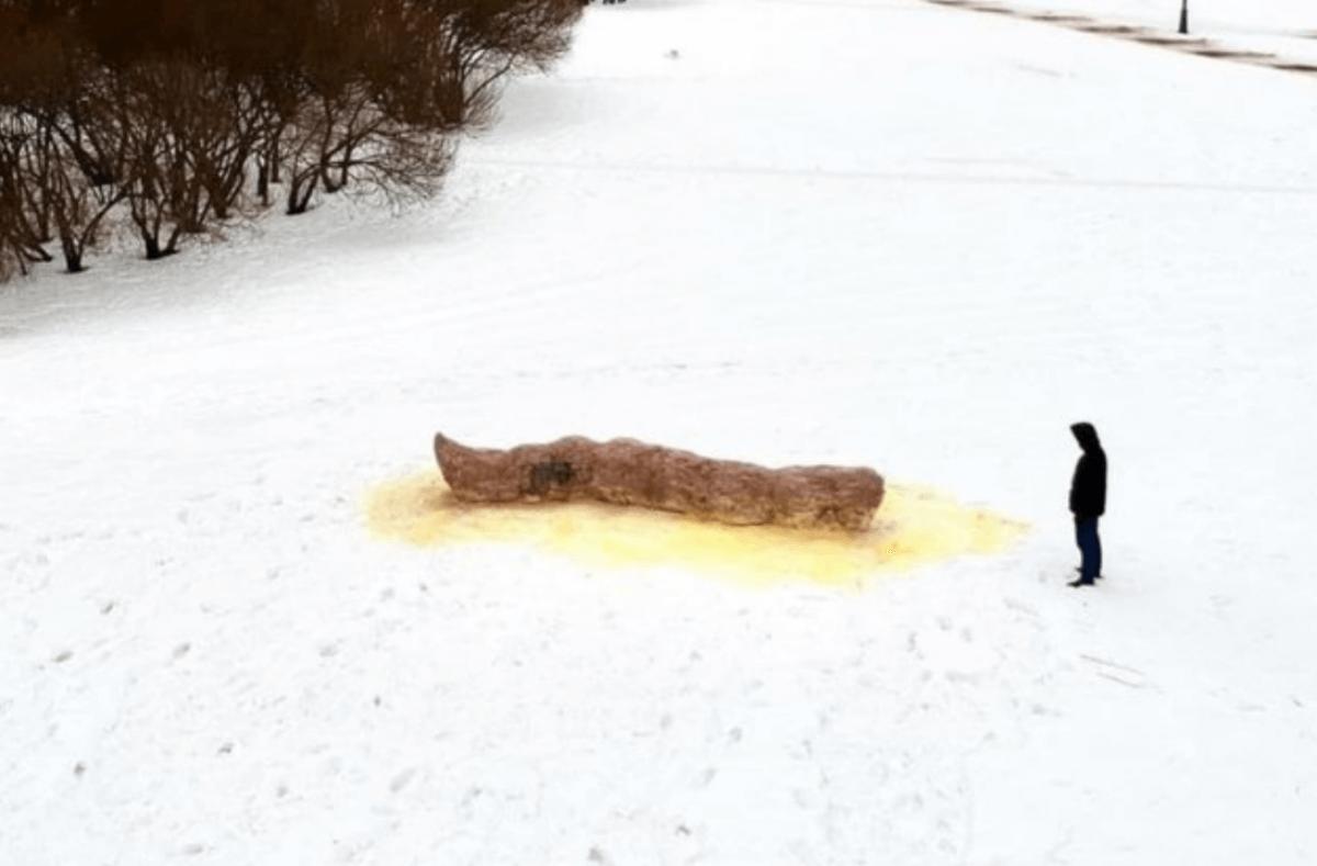 Foreign artist sentenced to five years for making poop-shaped artwork ...