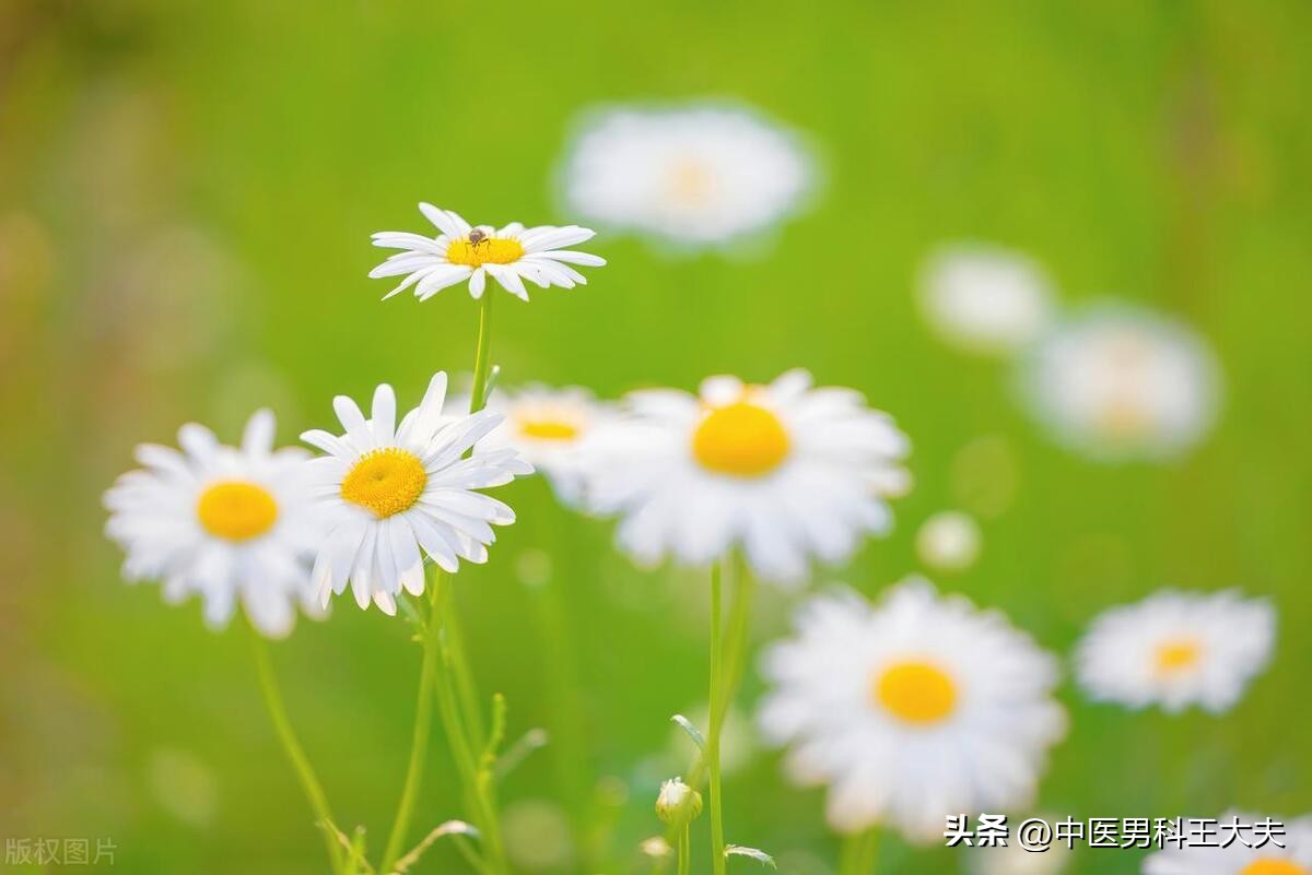 Excessive labor in the house, flaccidity of the tendons, weakness of ...