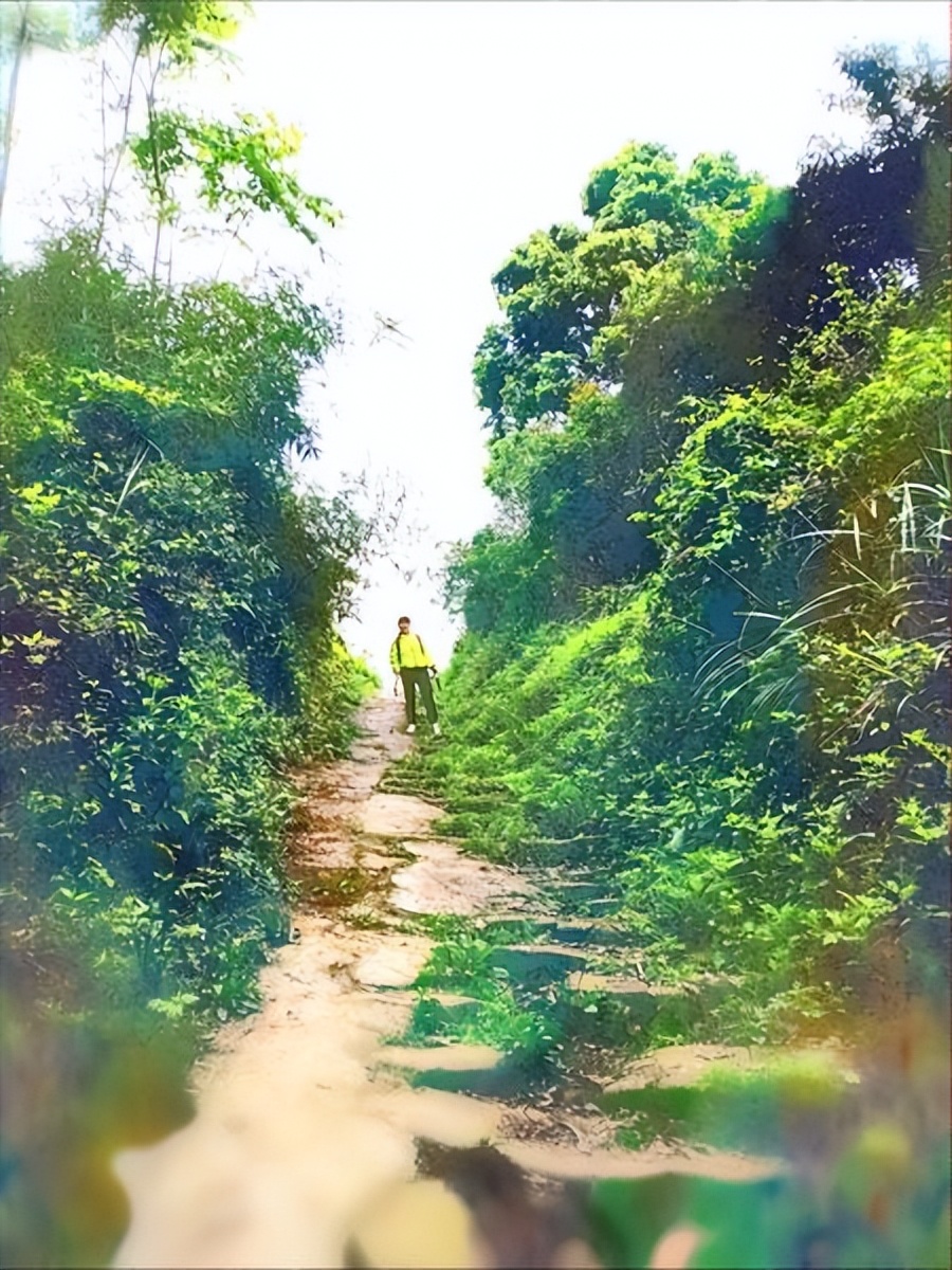 The Qijiang River in Chongqing: the ups and downs of the Nine Plates ...