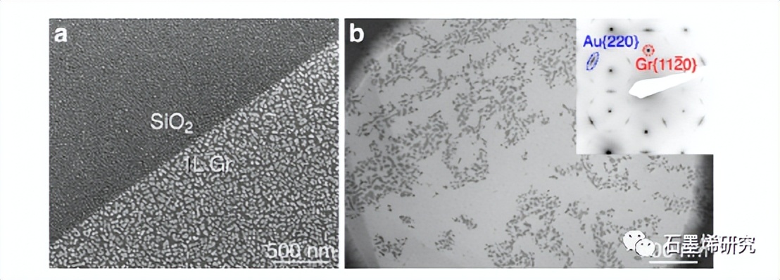 MIT Frances M. Ross et al -- Suspended graphene films for controlled ...
