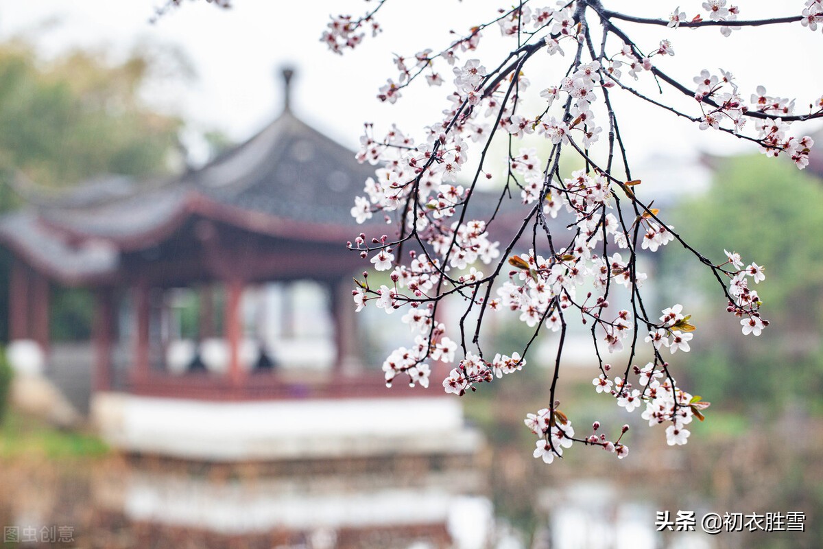 Wen Tingjun's two love poems in spring rain: Willows are like silk ...