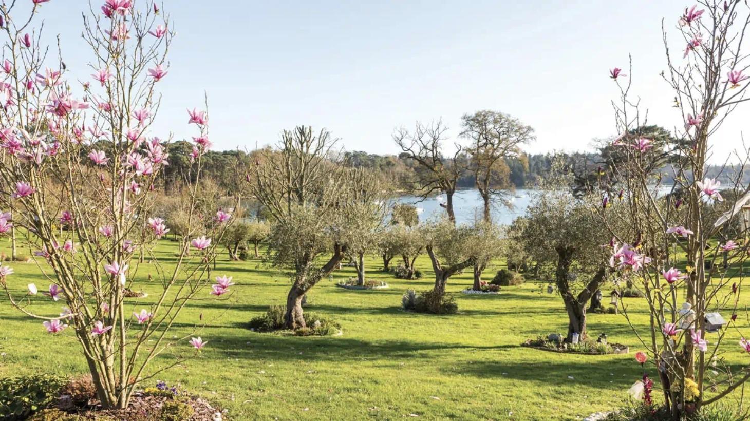 Do burial or cremation rituals disrupt the natural life cycle? - iNEWS