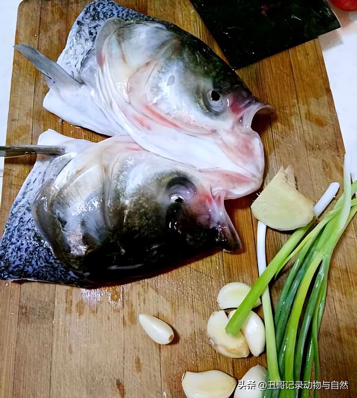 Dish name: [Braised Fish Head] - iNEWS