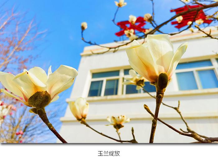 A mountain of spring cannot be hidden, the most beautiful April day in ...