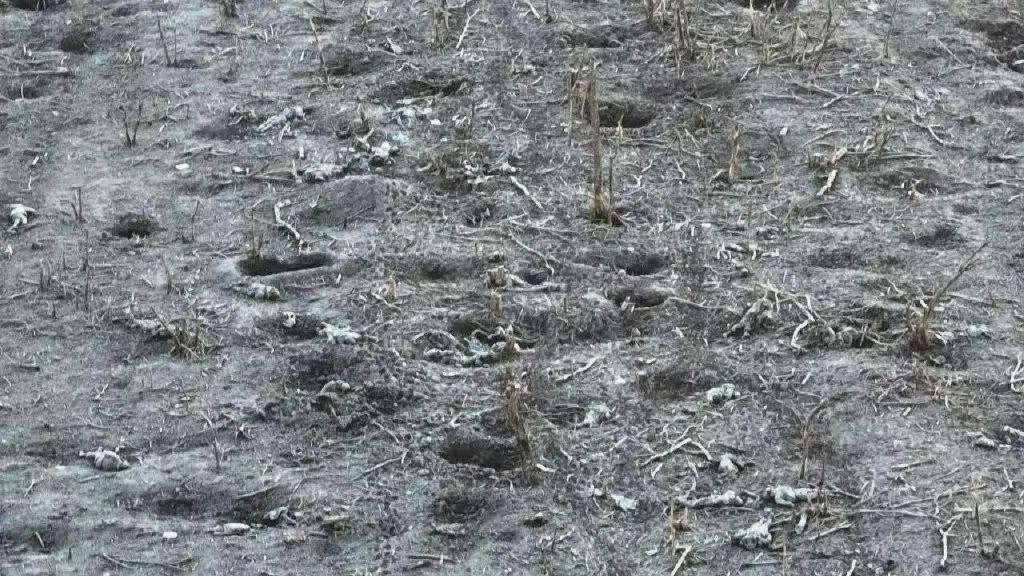 Tragic, besieged more than 500 Ukrainian soldiers all died in battle ...