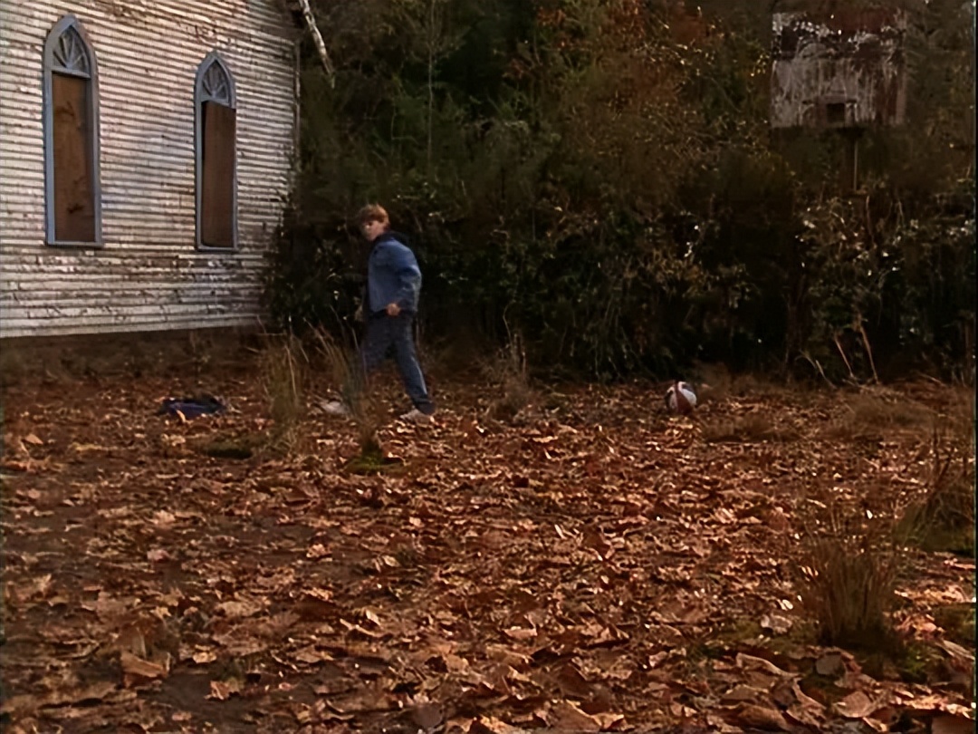 Michael Jeter played the real role, a dog who can play ball changed his ...