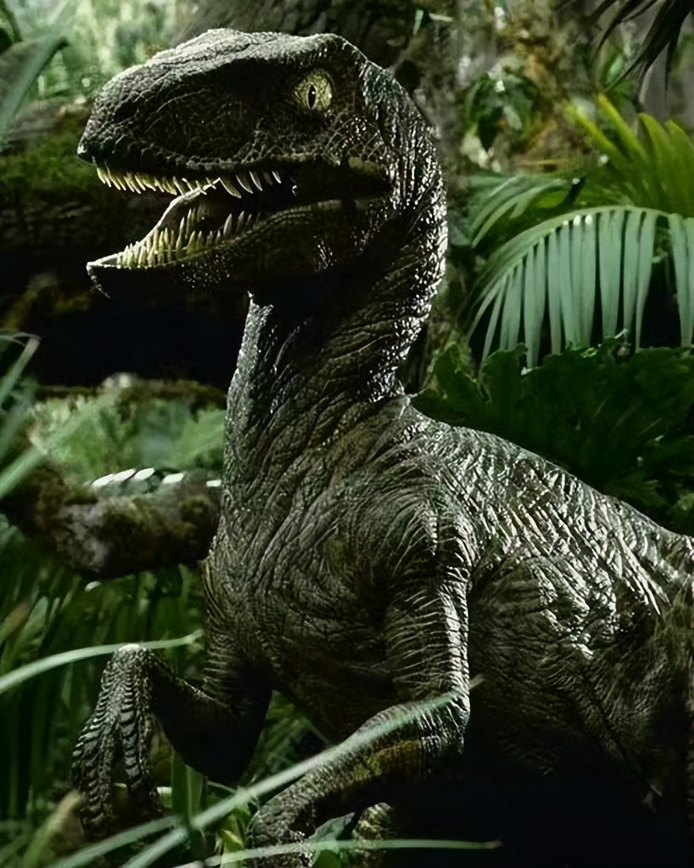 Explore the boundaries of technology and ethics! "Jurassic Park ...