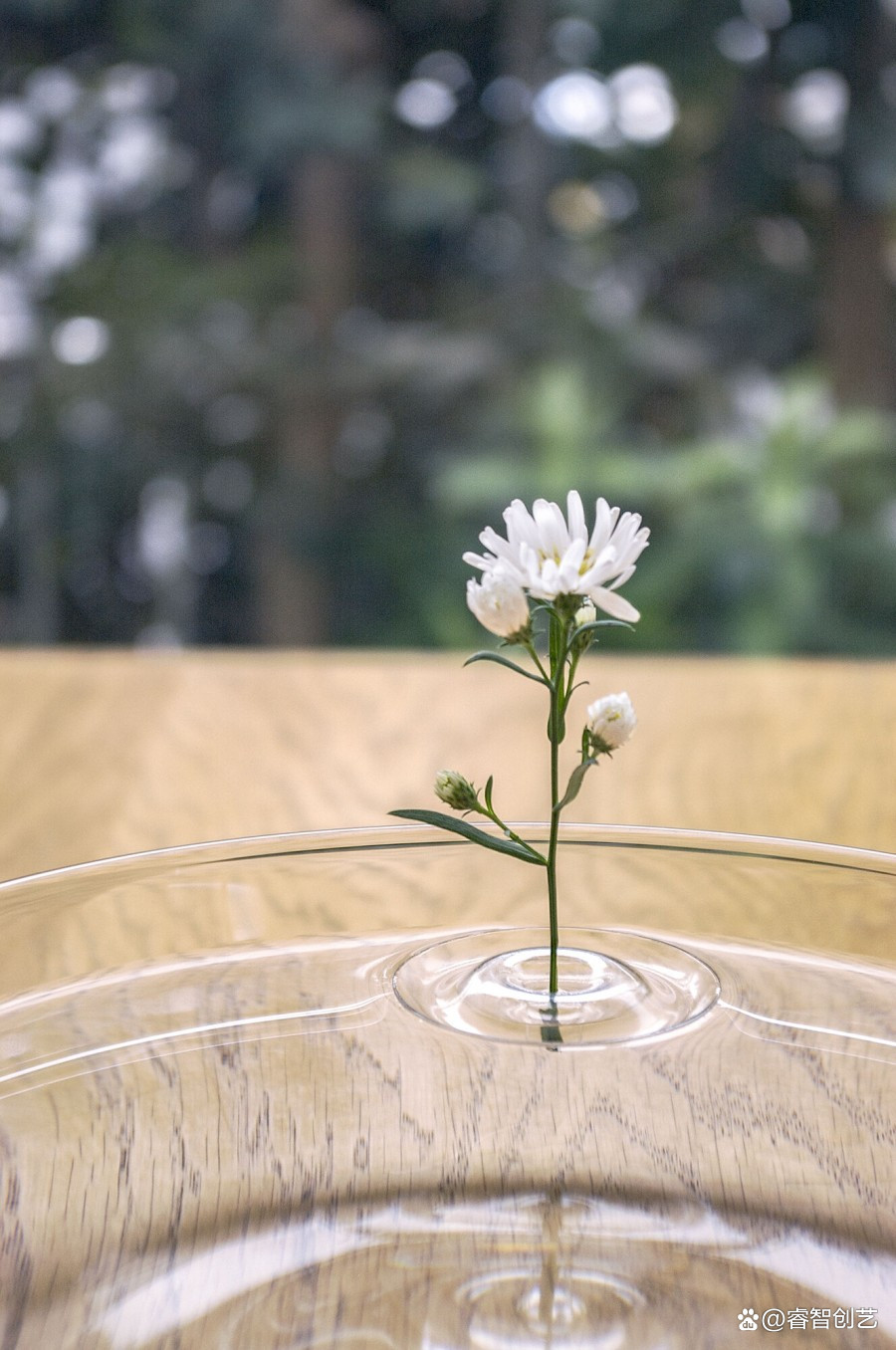 The creative "water pattern floating flower device", a flower is ...