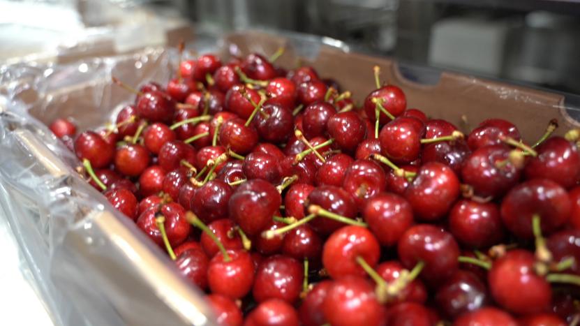 JD Fresh Chilean cherries are first launched in Hong Kong to upgrade ...
