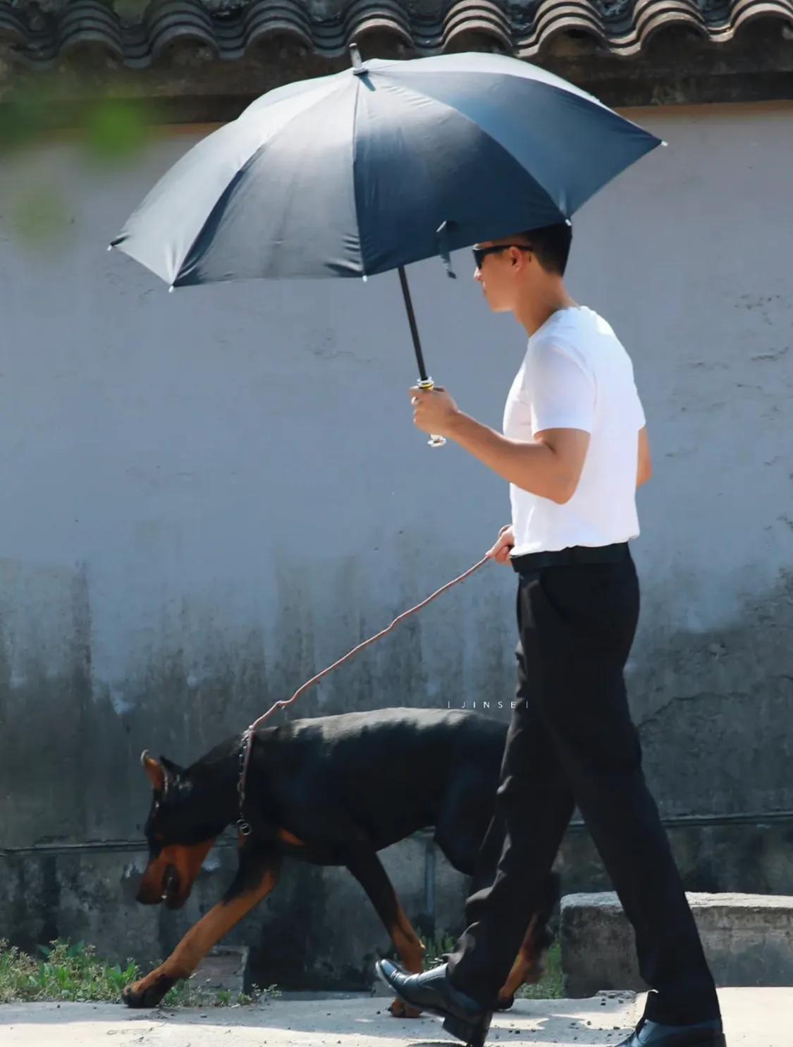 President Huang Jingyu and his dog - iNEWS