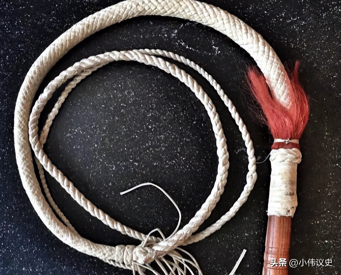 Analysis on the Evolution History of Weapon Whip: From Ancient Mystery ...