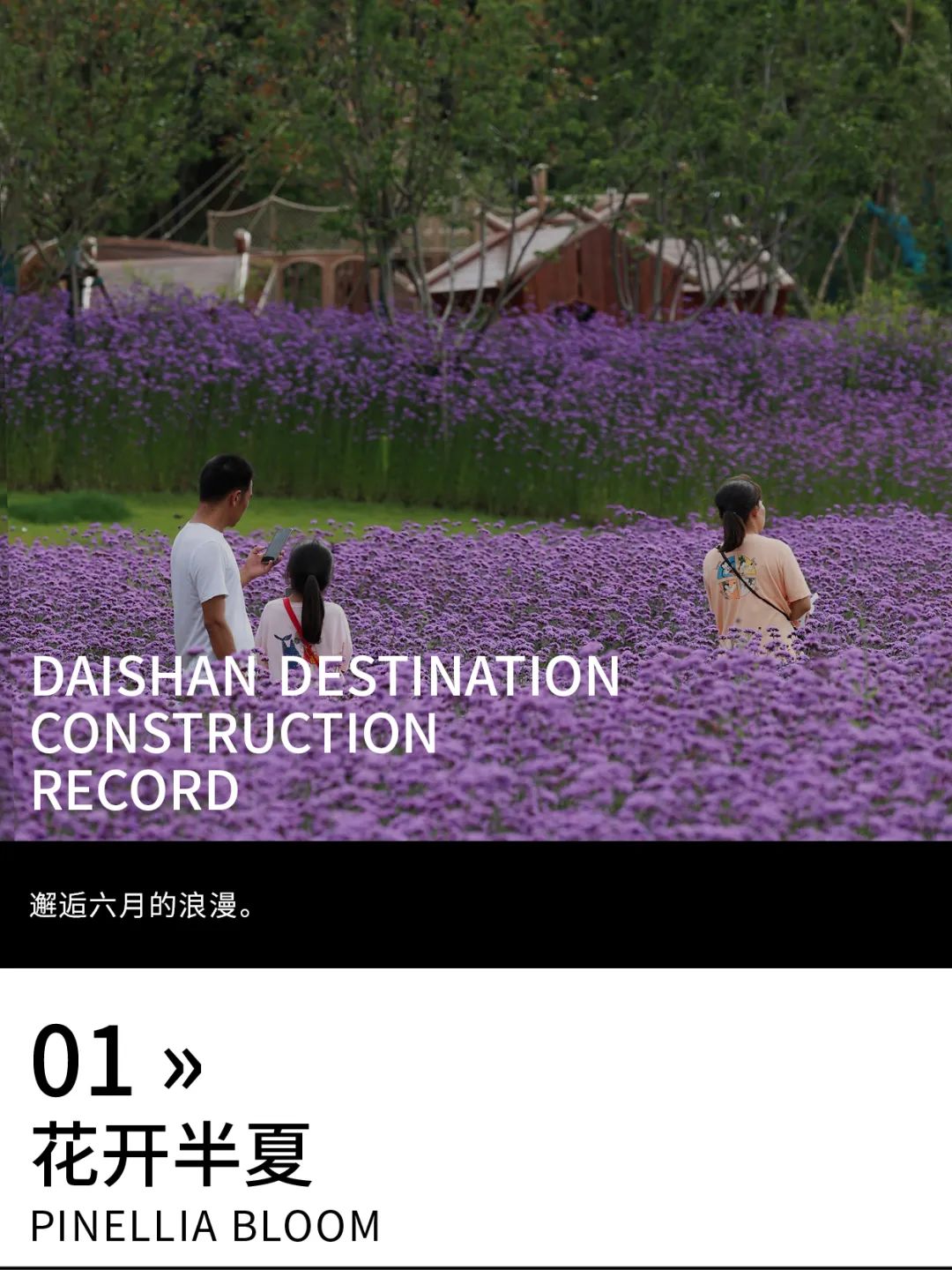 Daishan Destination Creation: Country Park - iNEWS