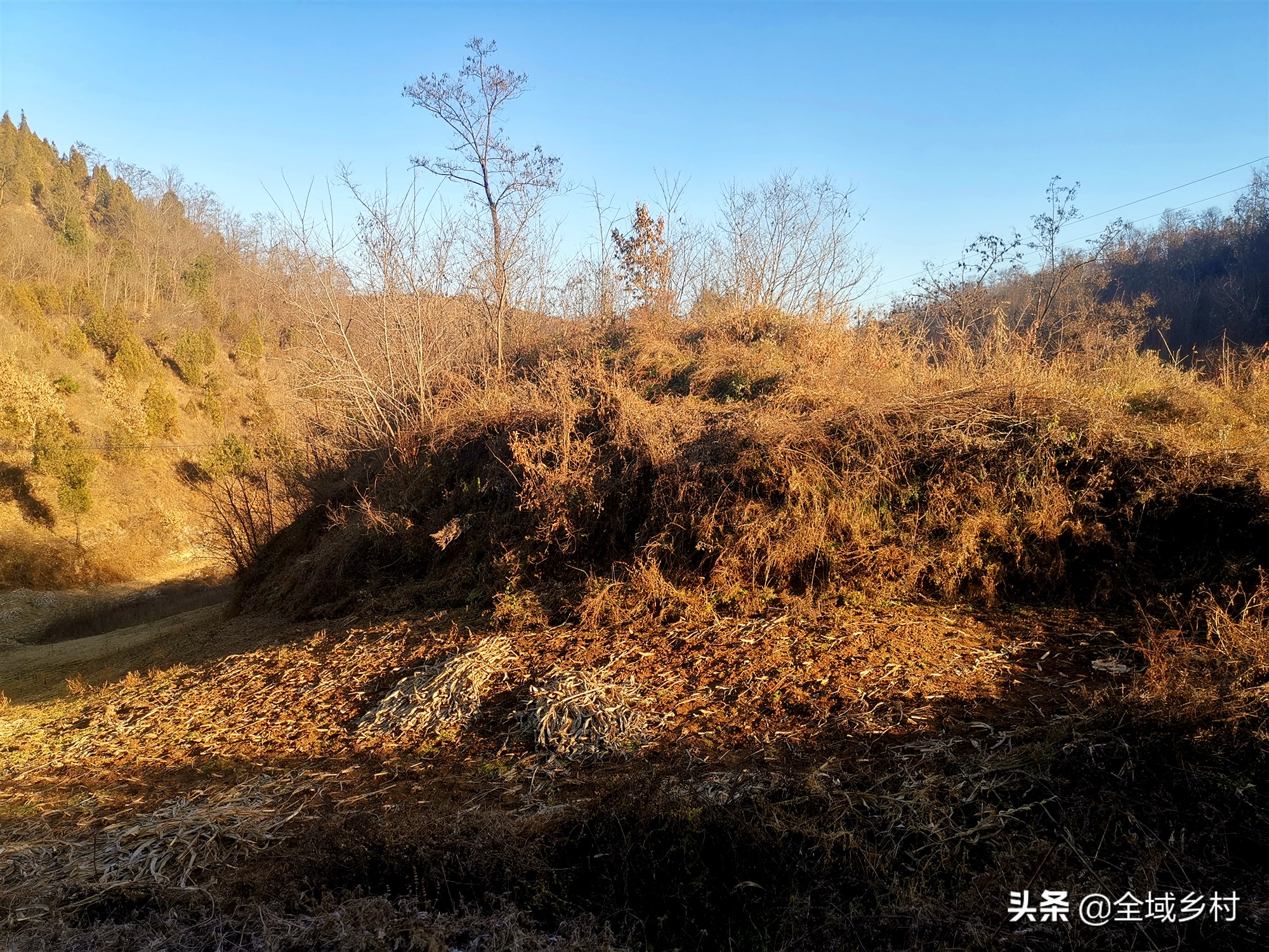 Who is the "Tomb of King Yan" in the deep mountains of western Henan ...