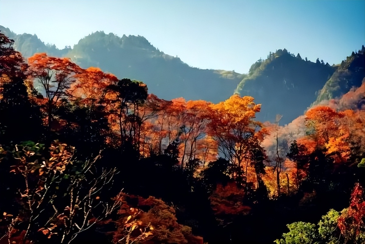 This morning, I will dedicate all the respect in my heart to the ...