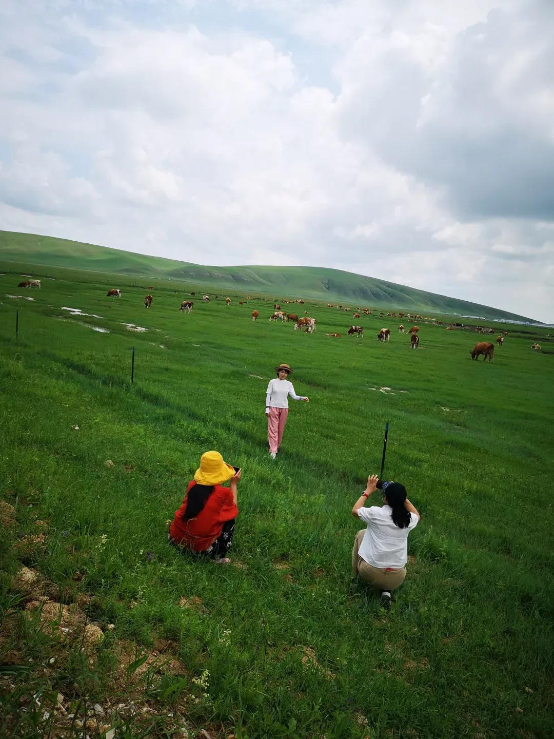 The most beautiful natural grassland in China: Hulunbuir Prairie, Inner ...