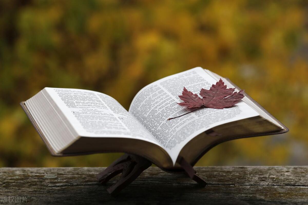 Reading is not as slow as possible, too slow will hinder reading - iMedia