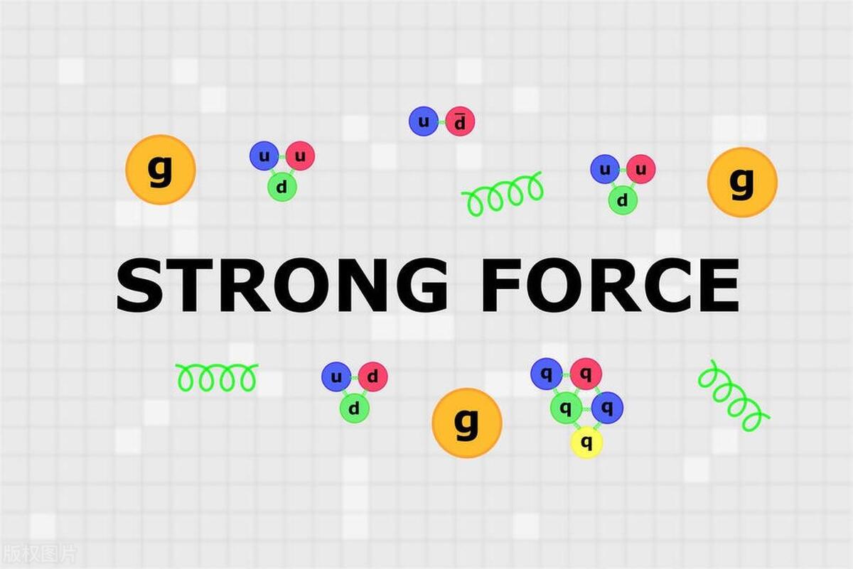 What are the four fundamental forces - iMedia