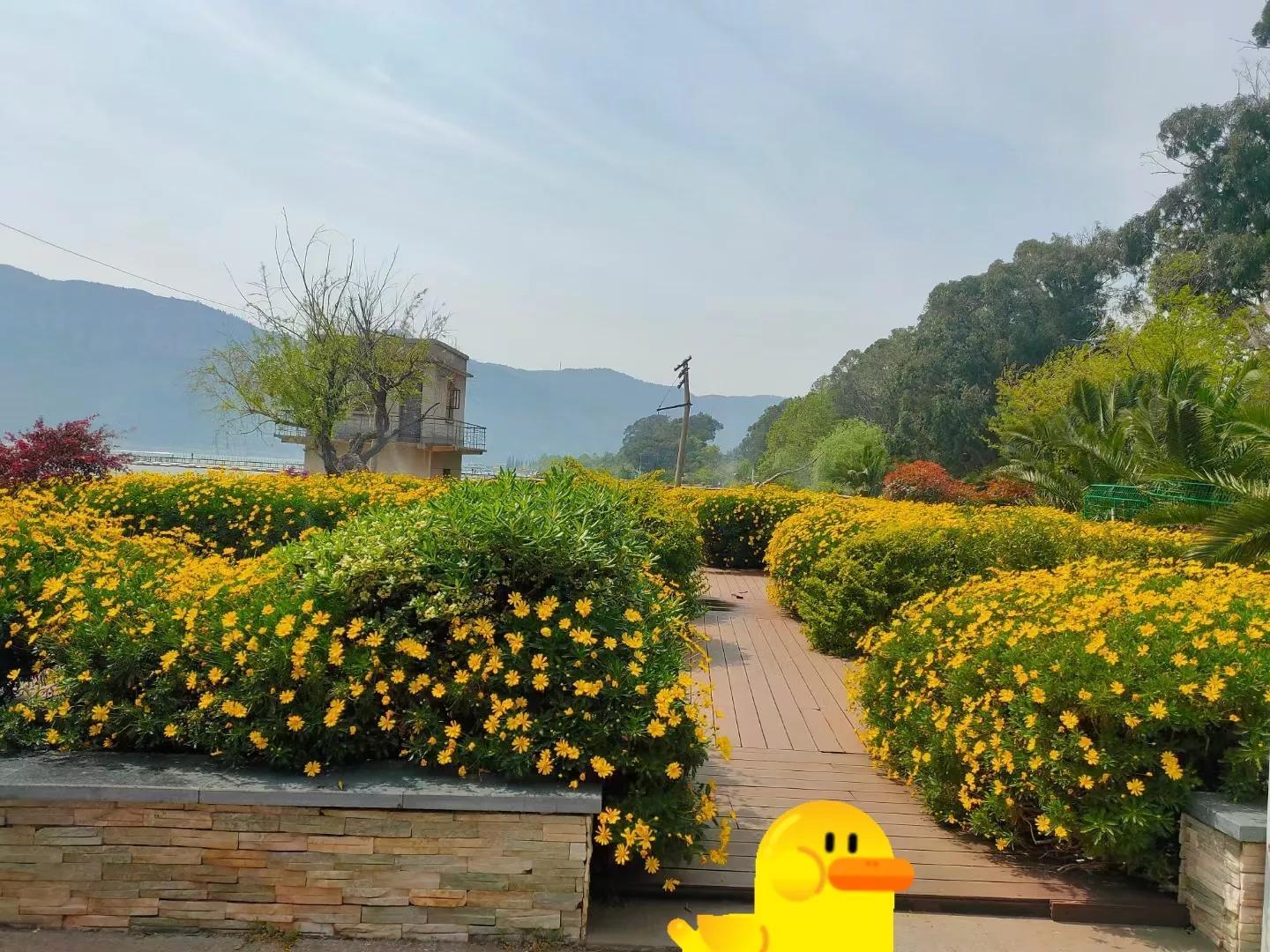 The people who dance repeatedly - the Shatuo people - iNEWS