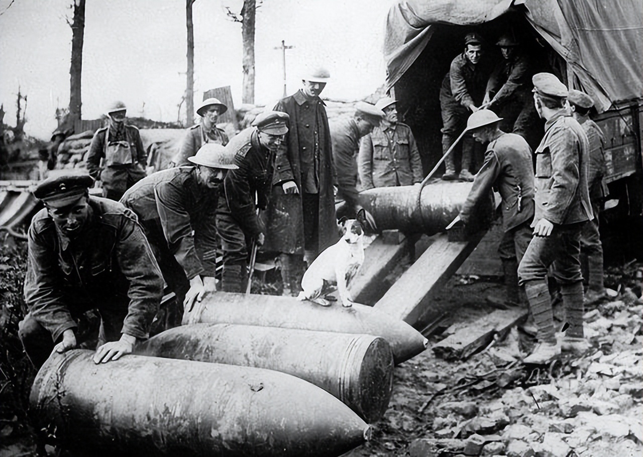 What was the difference between World War I and World War II? Why did ...