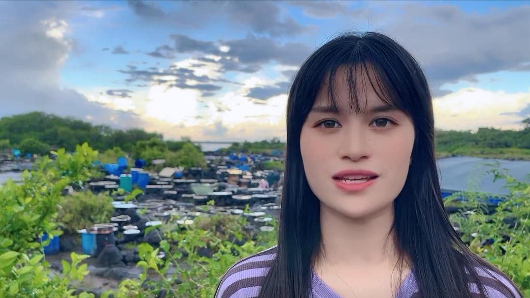 Yangpu Salt Fields, Chaos and Evening Money: Ancient Salt Fields of ...