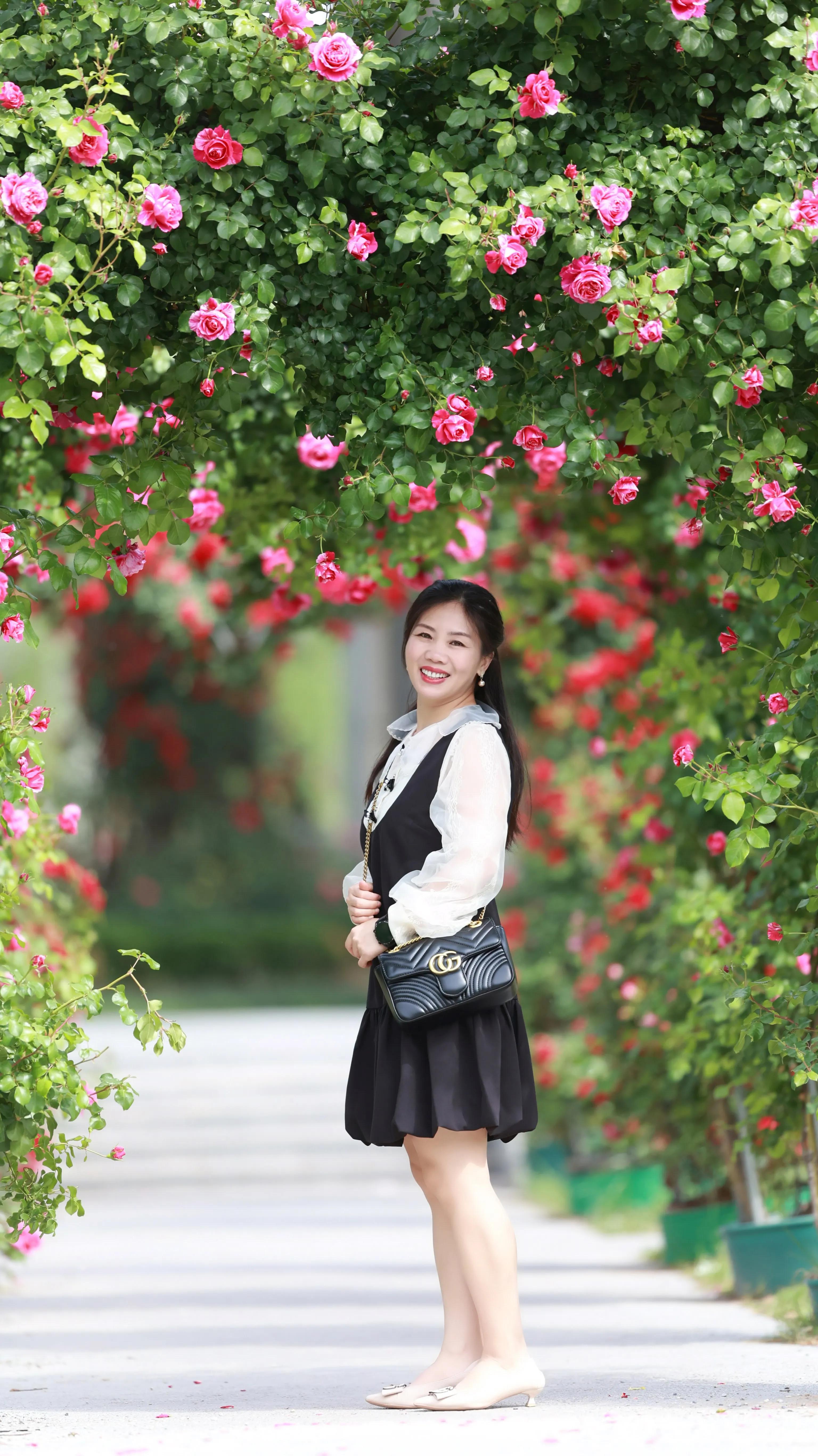 Let's talk about the techniques of shooting roses - iMedia