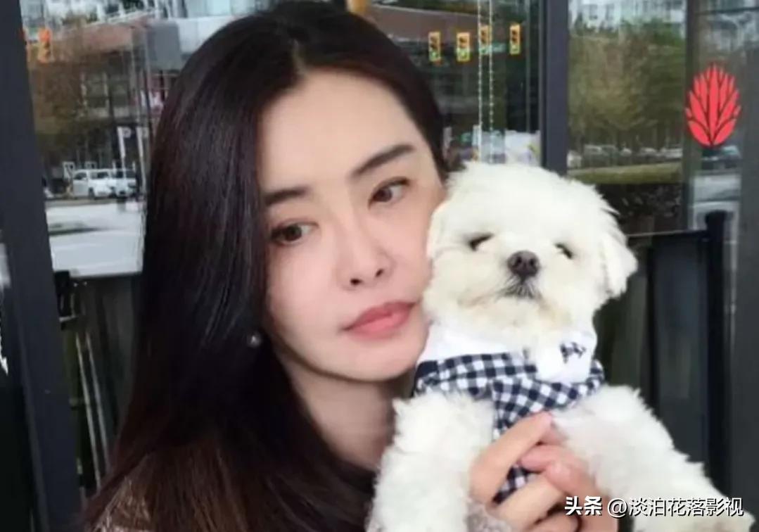 Li Jiaxin, Brigitte Lin, Maggie Cheung, Li Zhi, Zhong Chuhong and other ...