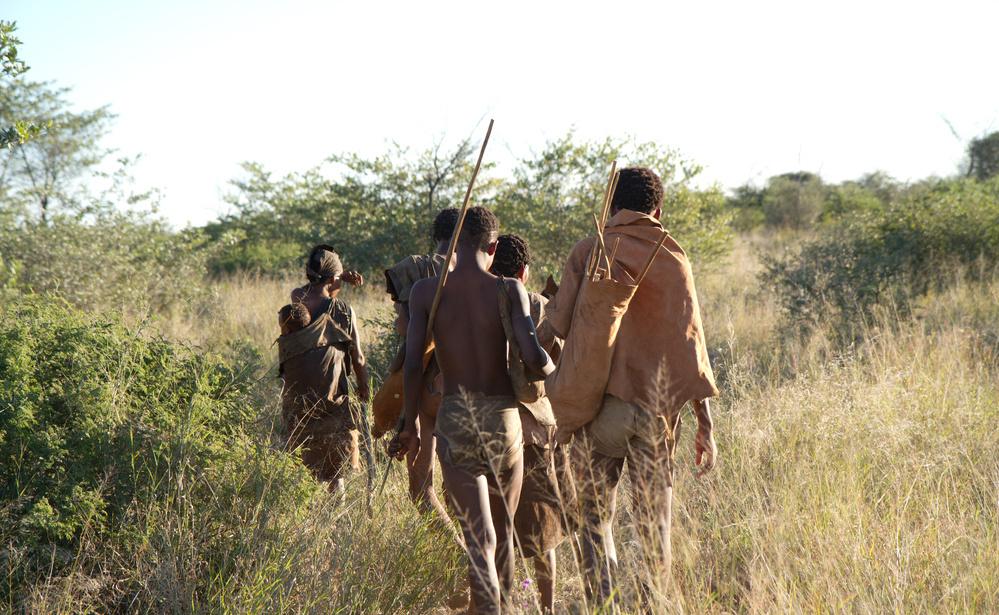 A thousand-year-old tree in Africa, which has supported generations of ...