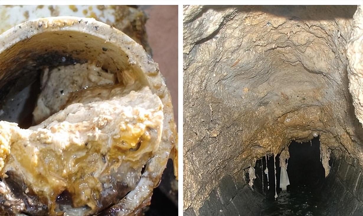 The 250-meter, 130-ton "fat behemoth" appears in London and grows in ...