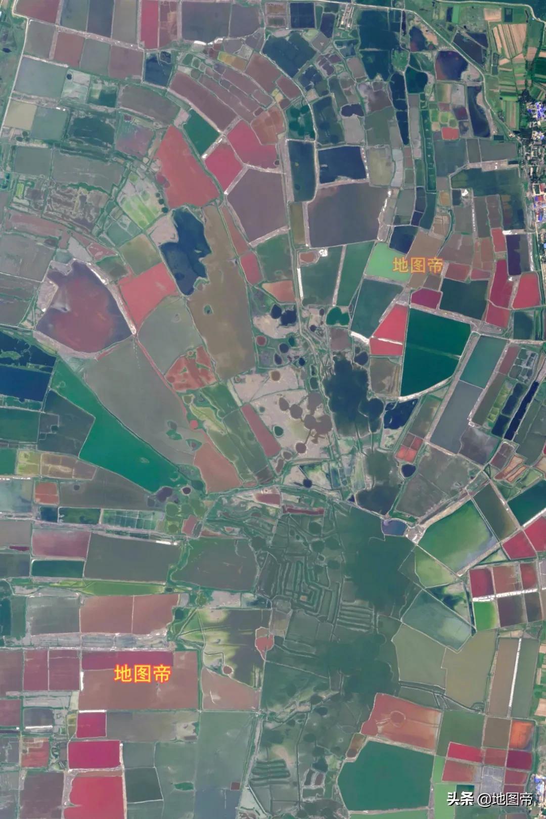 What do you think of Han Xin's destruction of the Western Wei Kingdom ...