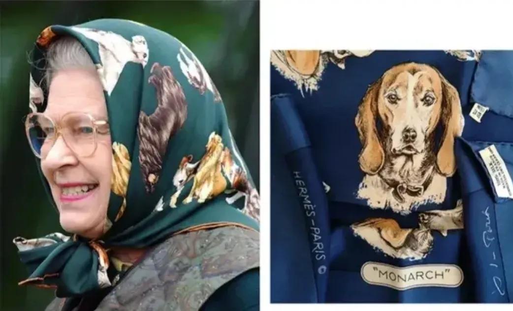 Queen's Turban - iNEWS