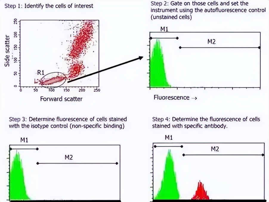 The key points of flow cytometry operation must be read! - iNEWS