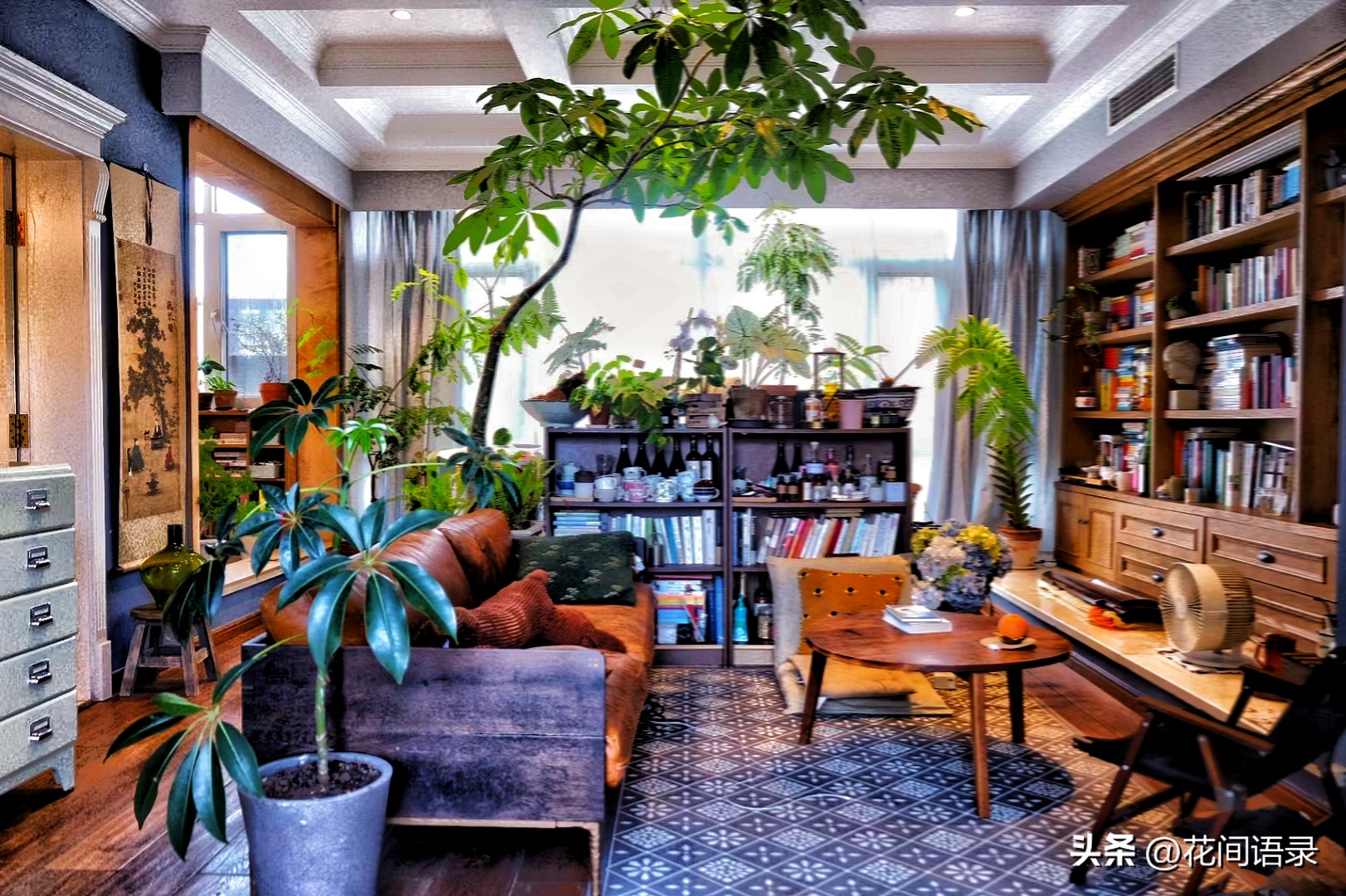 Try to move the "tree" indoors to raise it, the atmosphere of the ...