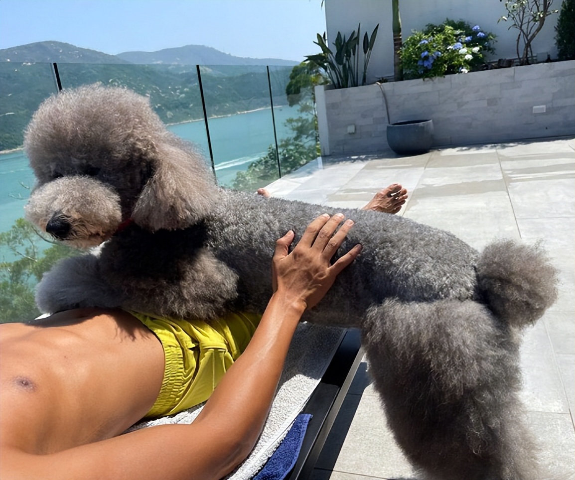 Chen Weiting: The fans are very strong, and they had 15 online ...