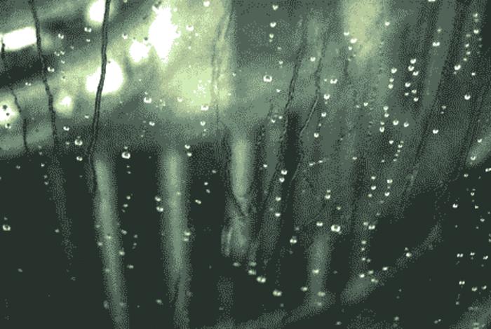 There is cold and dampness in the body, which is a breeding ground for ...