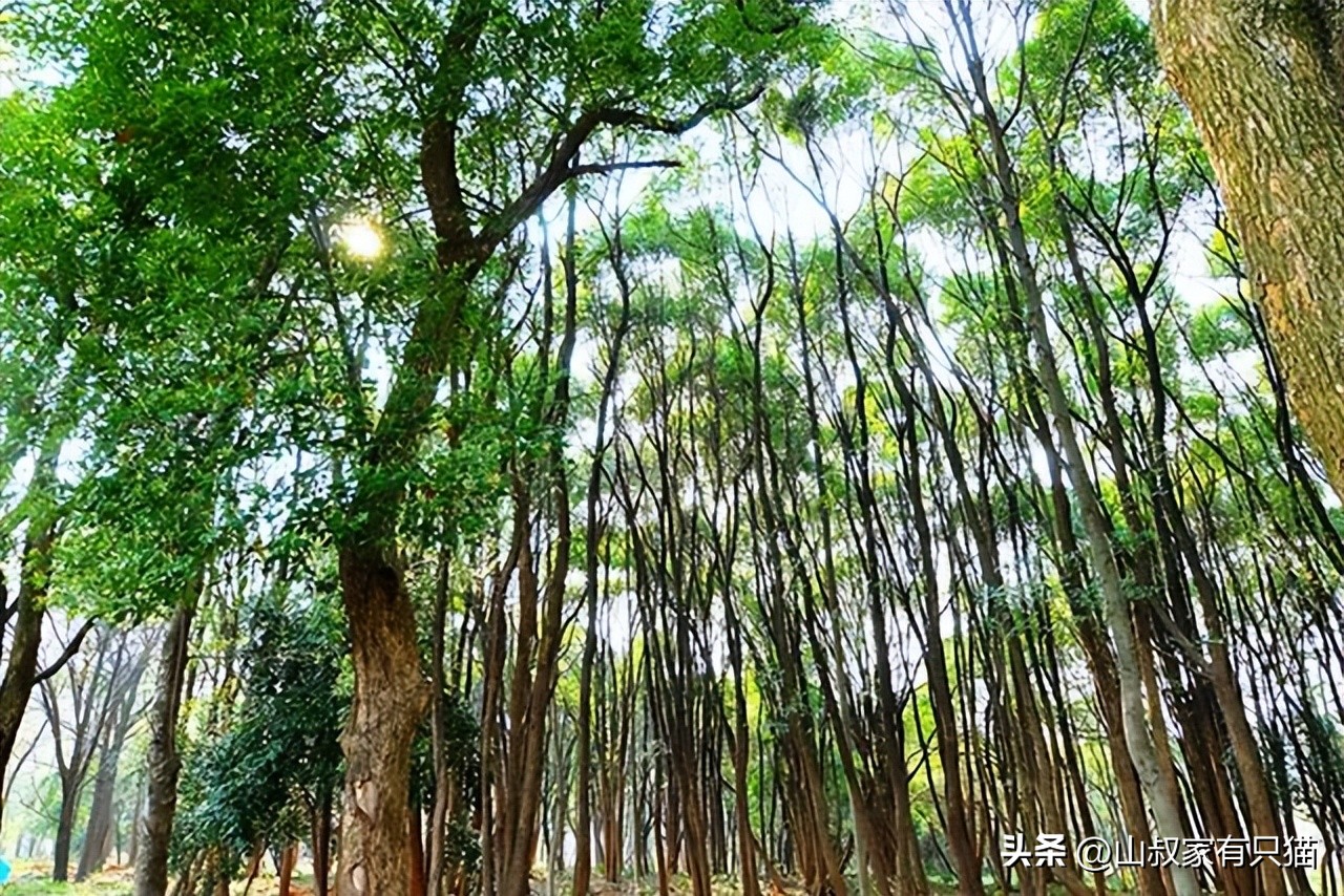 The best appearance of a home: clean, quiet, respectful - iMedia