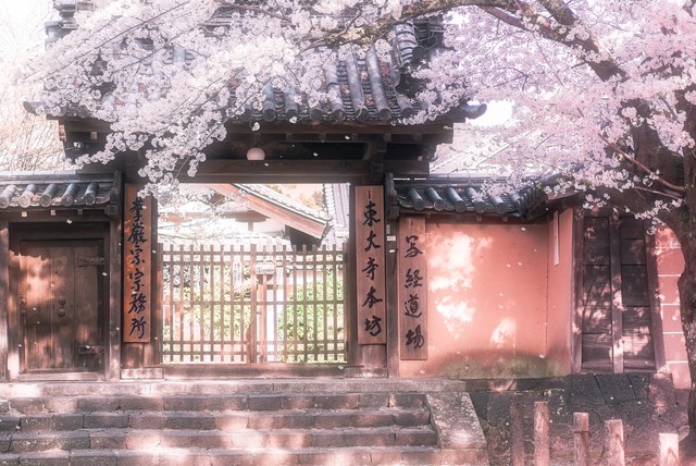 Japanese authentic mixed bath, refresh the three views - iNEWS