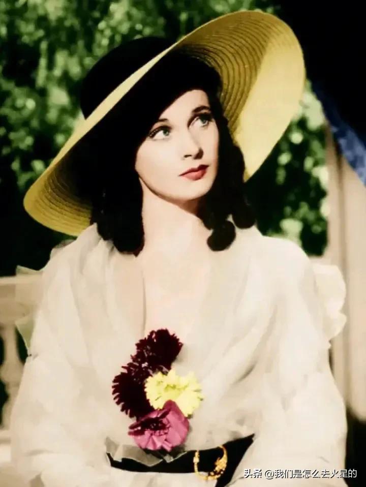 Admire the Beauty of English Rose - iMedia