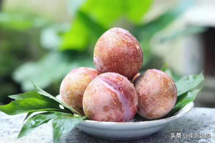 The ten most delicious plums in China, juicy, crispy and sweet, which ...