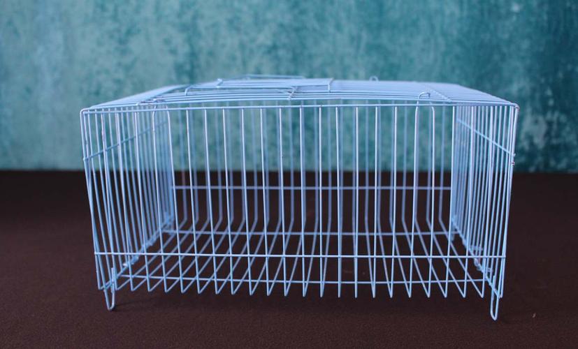 Transport cage adaptation training: an important guarantee for pet ...