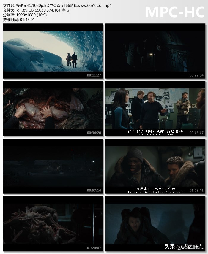 The horror trip to Antarctica, the ultimate test of human darkness and ...