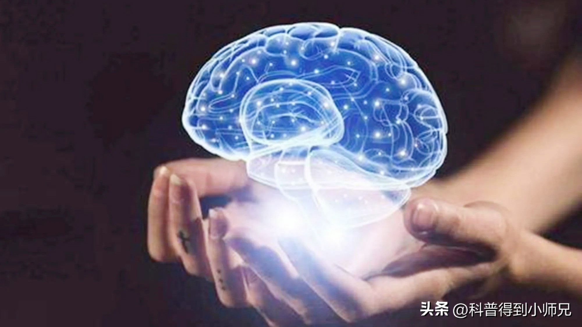 Human intelligence is generally similar!Live for a long time ...