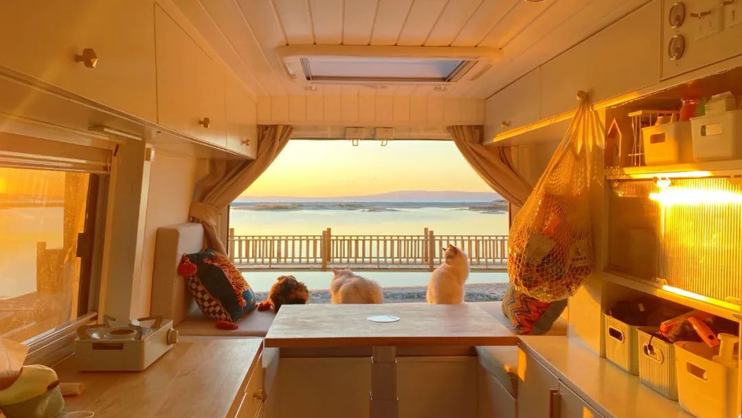 Put "home" in a 10 square meter RV, two people and three cats travel ...