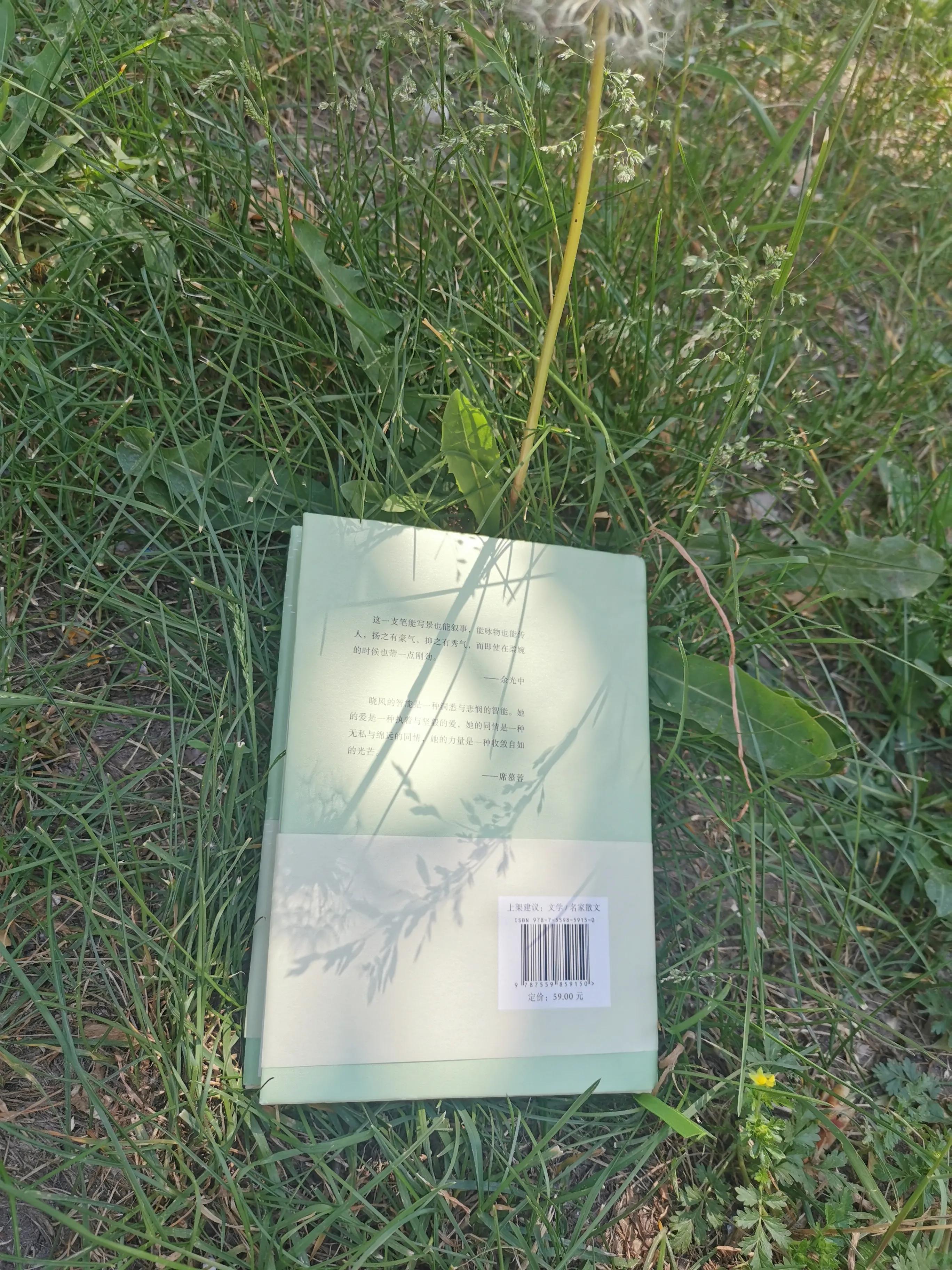 "Musk Over Spring and Mountain Grass Fragrance": Write everything with ...