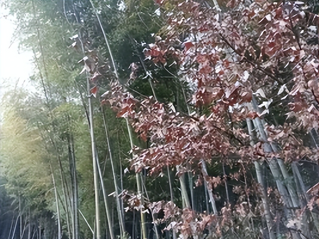 Explore the ancient post station in the Northern Song Dynasty, Ruichang once had a unique ...